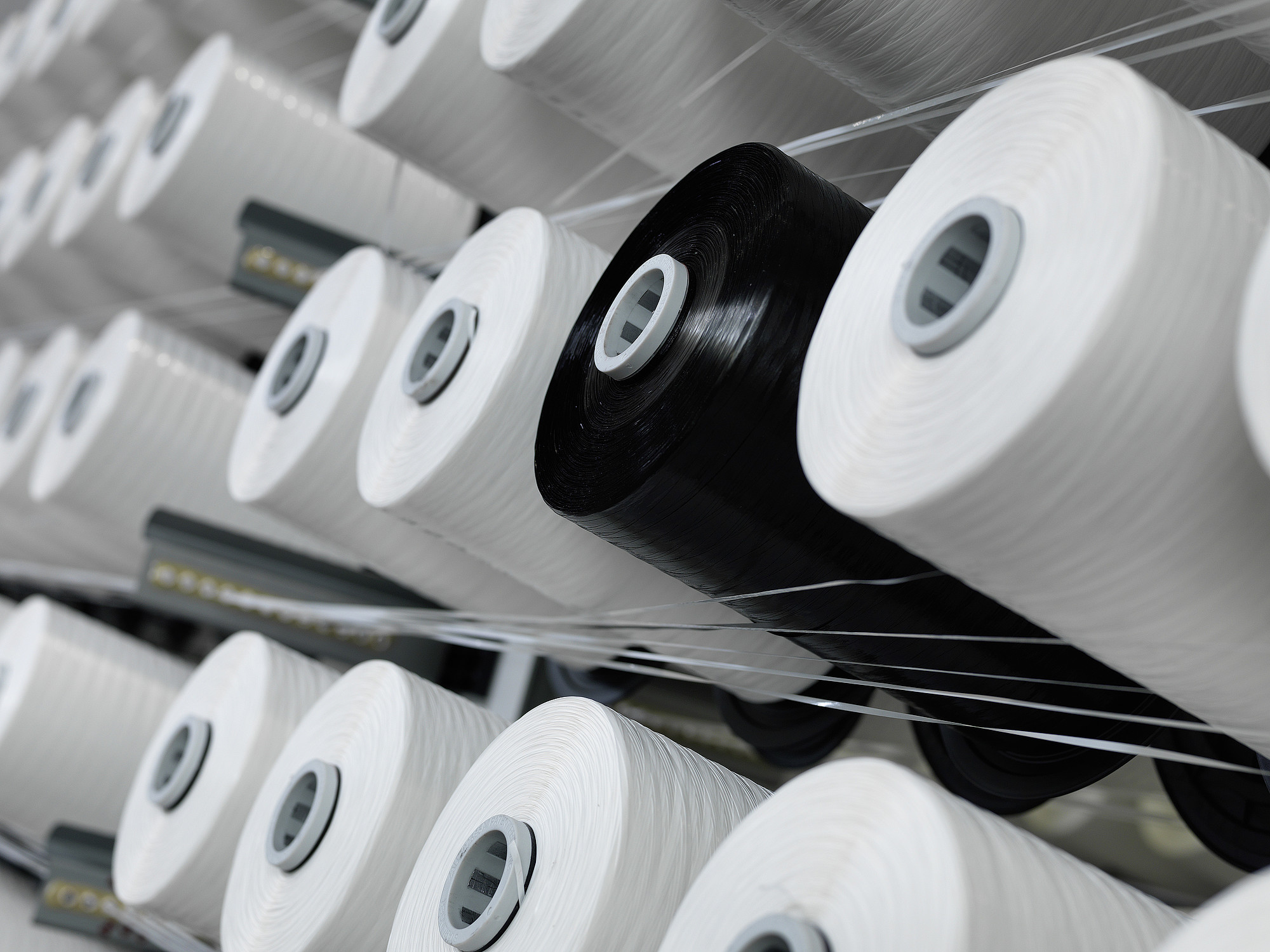 FFS PP Bags: Optimizing Food Packaging – VidePak